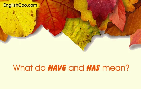 Penggunaan Have dan Has Ini Bikin Kamu Cepat Ngerti